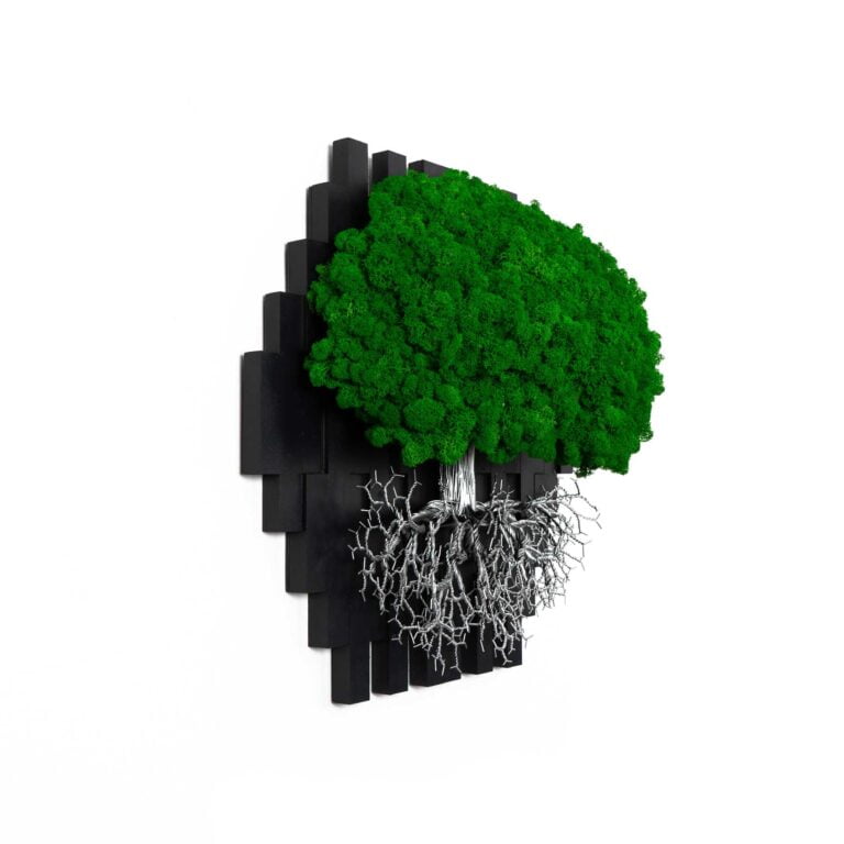 Pune locul principal al casei tale în lumina reflectoarelor.